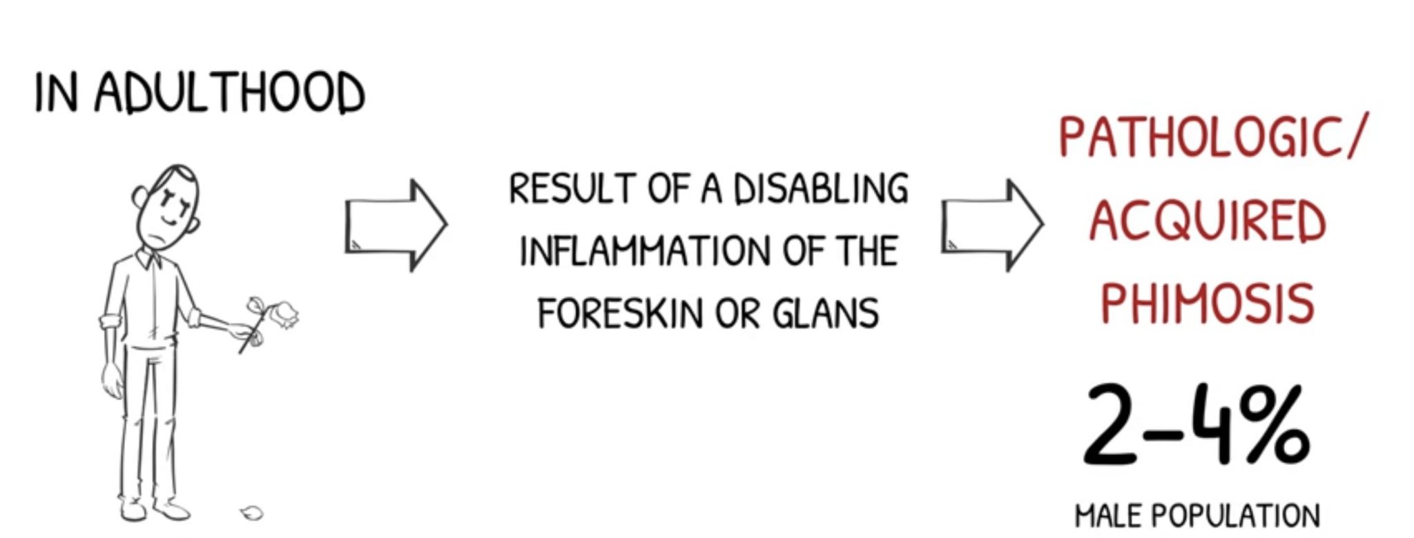 Phimosis: meaning, symptoms and treatment